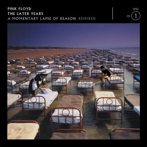 Pink Floyd The Later Years Box Set Page 11 Steve Hoffman Music Forums