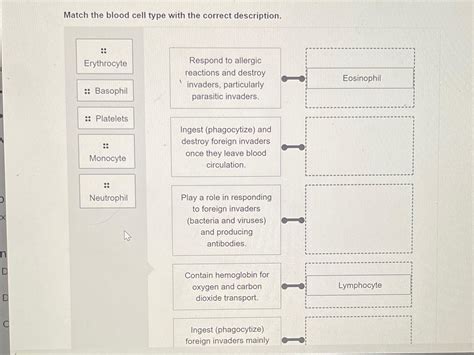 Solved Match The Blood Cell Type With The Correct Chegg Com