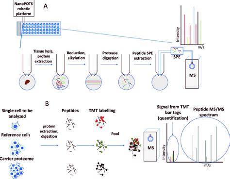 Modern Limited Proteomic Sample Preparation Approaches A Nanopots A Download Scientific