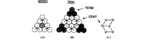 Suggested Structures Of The Dominating Uranyl Carbonato Complexes In