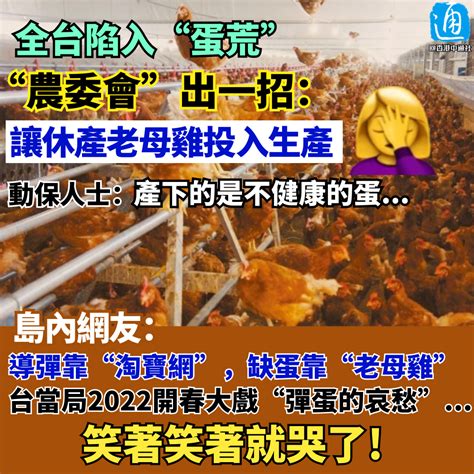 通說20 【台灣“蛋荒”未解，“農委會”出了一招，網友無奈：笑著笑著就哭了】