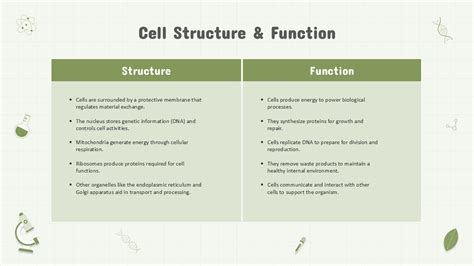 Ppt Cell Structure Organelle Function Powerpoint