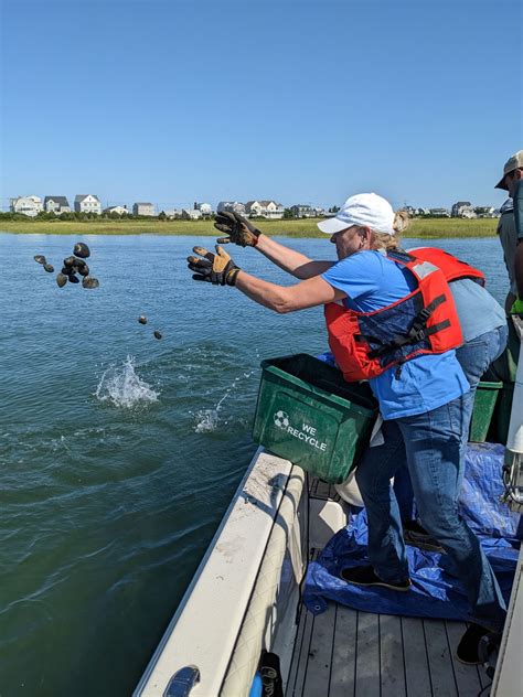 Shellfish Seeding In The Rivers North And South Rivers Watershed