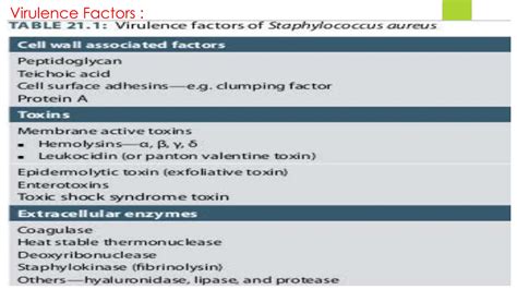 Staphylococcus Streptococcus Their Toxins Diagnosis And Treatment Pptx