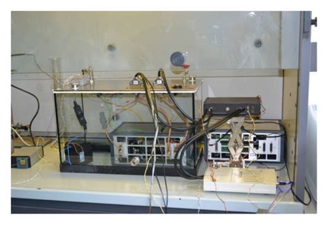 Experimental Setup For The Sensor Validation Download Scientific Diagram
