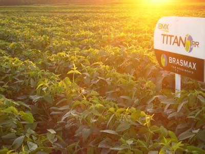 Cultivar De Soja Brasmax Bmx Titan Rr Lançamento Para Agricultores
