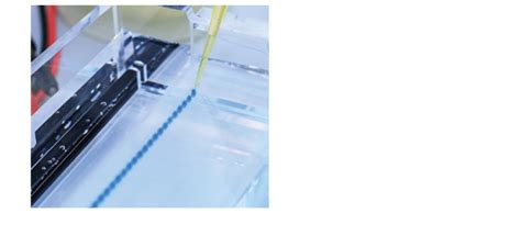 10x Loading Buffer Gendepot