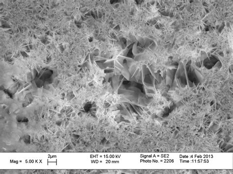 Fe Sem Cu Ni 90 10 Alloy After Exposure Alloy After Exposure To 0 58 Download Scientific