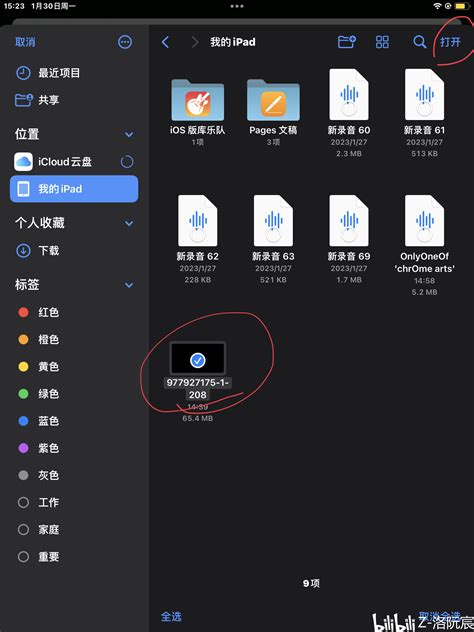 如何将网页版b站视频提取音频并下载到文件 iphone 哔哩哔哩