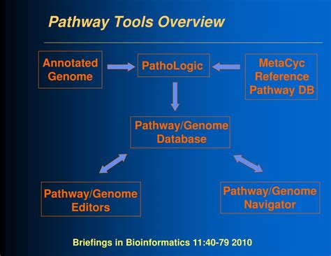 Ppt Pathway Bioinformatics 2 Powerpoint Presentation Free Download Id731176