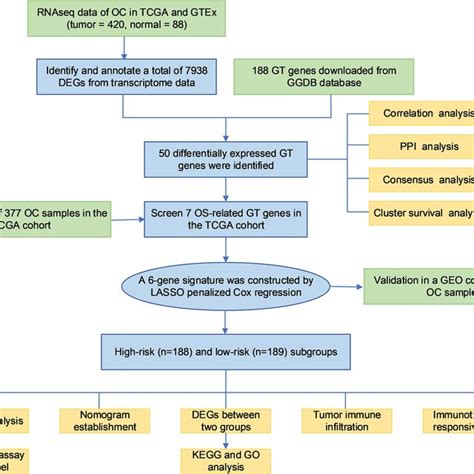 Workflow Diagram The Specific Workflow Graph Of Our Study Download Scientific Diagram