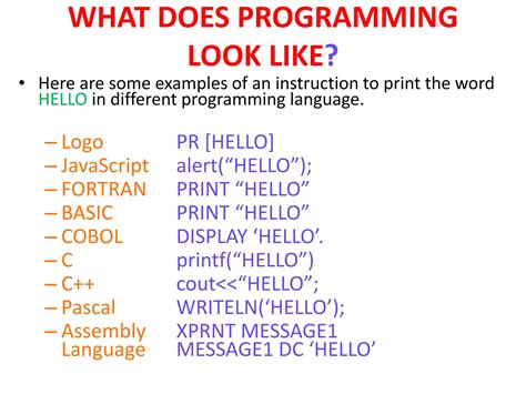 Lec 11 Programming Languages New Uploadpptx