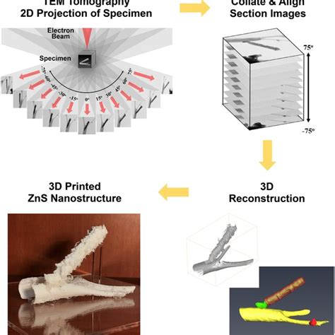 Schematic Illustration Of Tem Tomography Data Acquisition 3d Schematic Illustration Of Tem Tomography Data Acquisition 3d