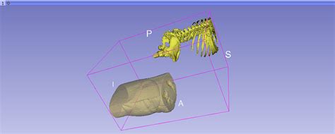 can the modeled files be moved feature requests 3d slicer community
