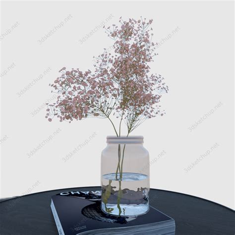 Plant Collection 1429947