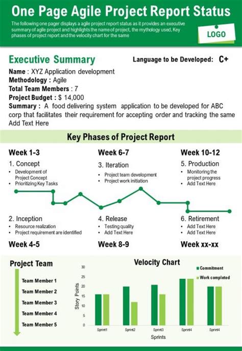 Agile Project Status Report Slide Team
