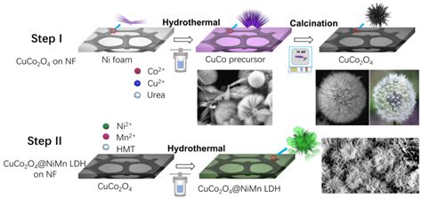 Schematic Illustration Of The Preparation Process Of Cuco2o4nimn Ldh