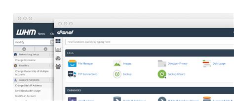 Cpanel Dedicated Server Hosting At Tier 3 Data Center