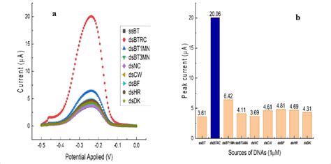 Dpv Of Hybridised Dna In The Presence Of Mb For The Rc Different Types Download Scientific