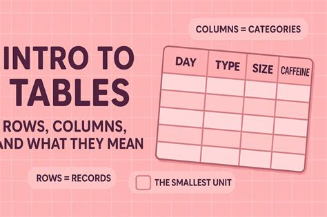 Intro To Tables Rows Columns And What They Mean Data For Humans