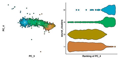 Scpubr 4 Bee Swarm Plots