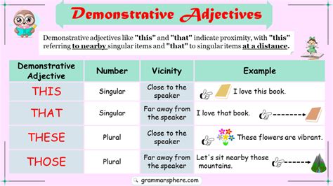Descriptive Adjectives Definition Types And Examples GrammarSphere