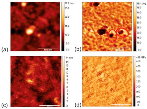 Biocompatible Carbon Dotspolyurethane Composites As Potential Agents For Combating Bacterial