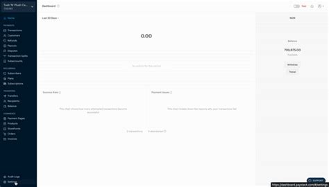 paystack payment vizion ai