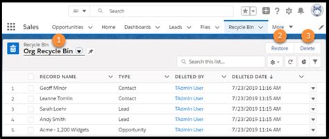 Access The Recycle Bin In Lightning Experience Sfdc Mines