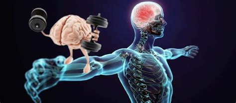 Muscle Memory And Massage Therapy Santa Barbara Ca Muscle Memory