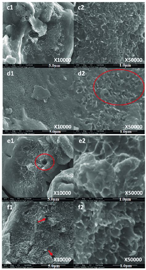 Sem Micrographs Of Fracture Cross Section By Low Magnification And High