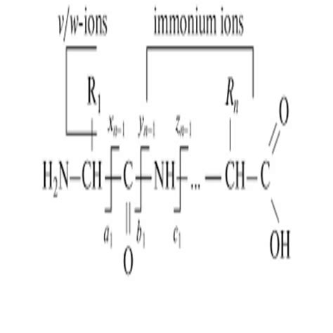 Peptide Fragments Commercial At Best Price In Hyderabad By Supra Sciences Private Limited Id
