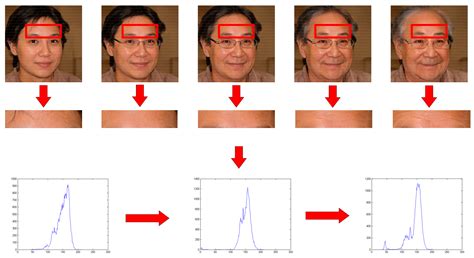 Facial Expression Recognition Based On Multi Features Cooperative Deep