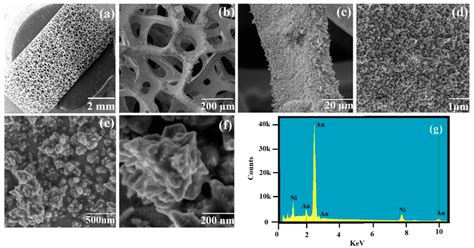 A Sem Image Of Gold Electrodeposition At 1200 S On Nickel Foam At 2