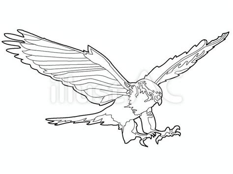 鳥イラストかっこいいの検索結果 Yahoo きっず検索