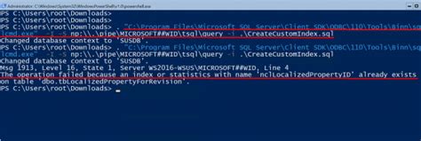 wsus bereinigung bricht ab timeout für datenbank und iis erhöhen windowspro