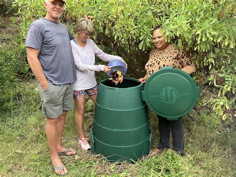 Green Johanna Guidance And Tips Dreamcatcher South Africa Npc