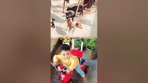 ছাগলের বাচ্চা কুকুরের দুধ খাচ্ছে Fannay Video Abdur Razzak Youtube