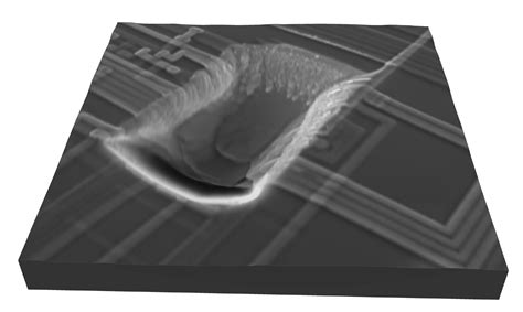 Sem Topography Data 004 J Kraft Microscopy
