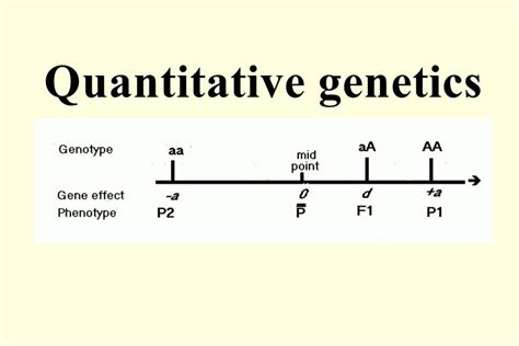 39 Facts About Quantitative Genetics