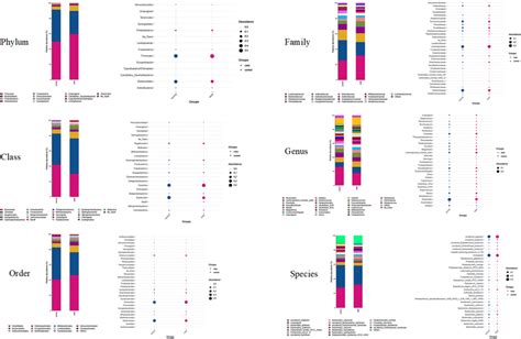 The Distribution Differences Were Demonstrated At The Level Of Phylum Download Scientific