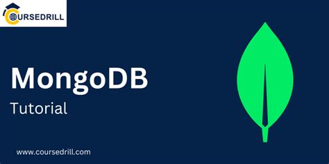 Comprehensive Mongodb Tutorial Guide Master Nosql Databases Effortlessly