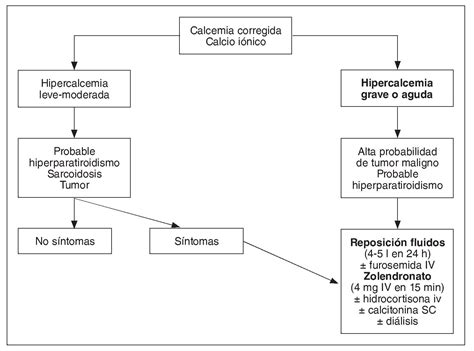Hipercalcemia Qué Es Causas Síntomas Y Tratamiento Guía De Salud