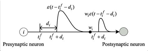Spike Response Function Download Scientific Diagram