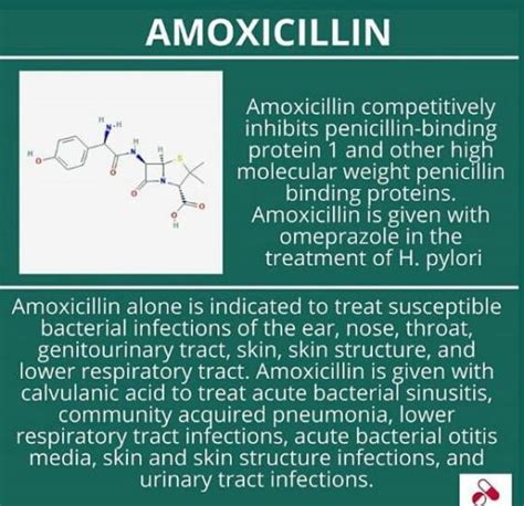 Amoxicillin On Tumblr