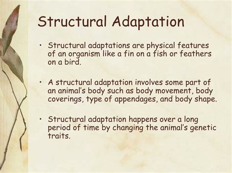 Ppt Behavioral And Structural Adaptations In Animals Powerpoint