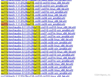 Win10 Pytorch安装说明cp311 Csdn博客