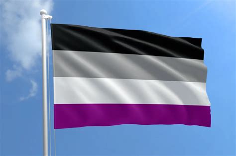 Asexual Pride Flag And Asexual Flag Meaning