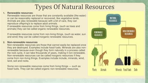 Resources Types
