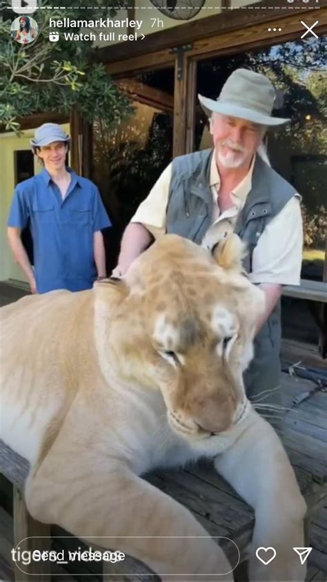 Why Did 🅱️🌈🦁 Post A Video Of Some Old Creepyman Petting Him R